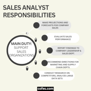 Sales Analyst: Job Description, Salary, Duties & More (2023)